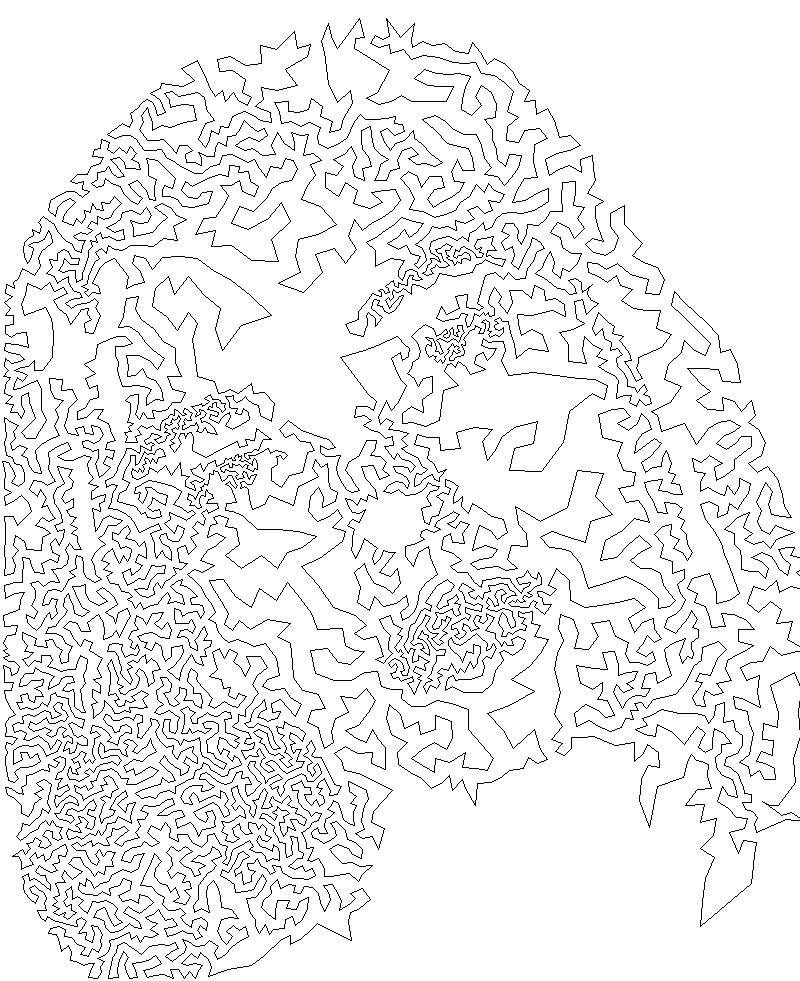 What is TSP Art? | Your Fractal